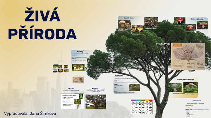 ŽIVÁ PŘÍRODA - Přírodověda by Jančí Šimková on Prezi