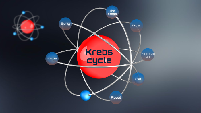 Krebs cycle by Thomas Cooreman on Prezi