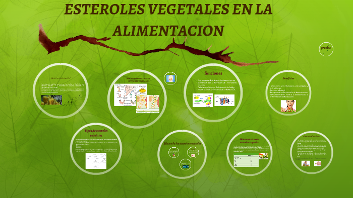 esteroles vegetales by johana aranzazu on Prezi
