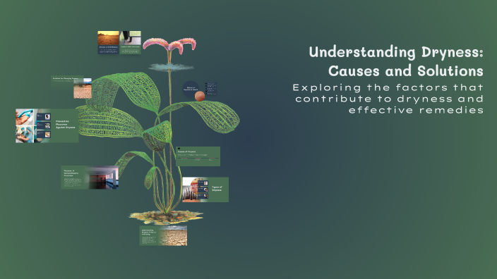 Understanding Dryness: Causes and Solutions by Myra Audi on Prezi