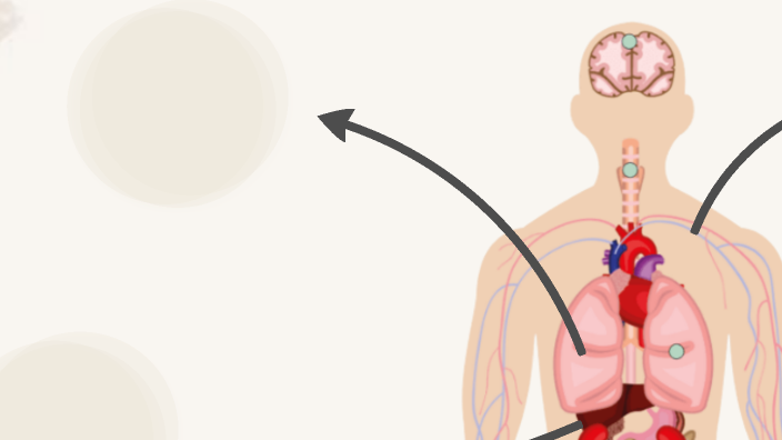Reactions in human body by nuha salem on Prezi