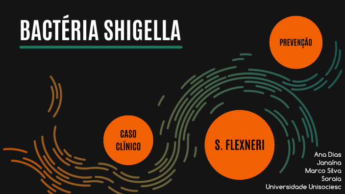 BACTÉRIA SHIGELLA by Kako Silva on Prezi
