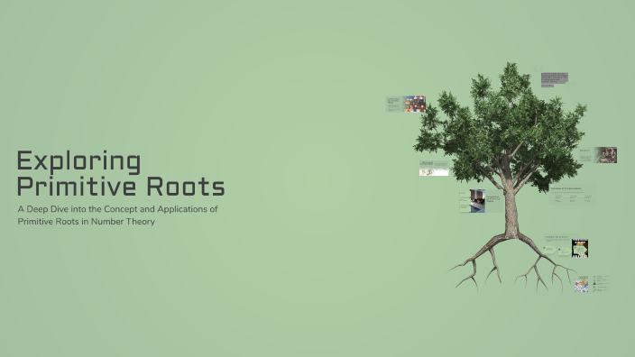 Exploring Primitive Roots by Bardia Sohrabi on Prezi