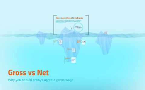 Net versus Gross by Jane Preedy