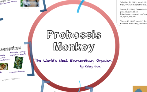 The World's Most Extraordinary Organism! by Kelsey Hucke on Prezi