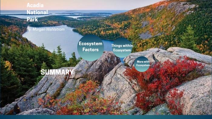 Acadia National Park by Morgan Wahlstrom on Prezi