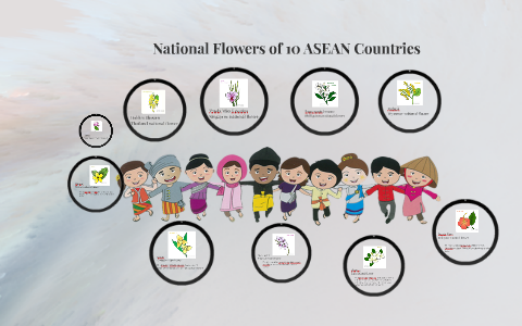 National Flowers of 10 ASEAN Countries by Wannakarn Phrainarin on Prezi