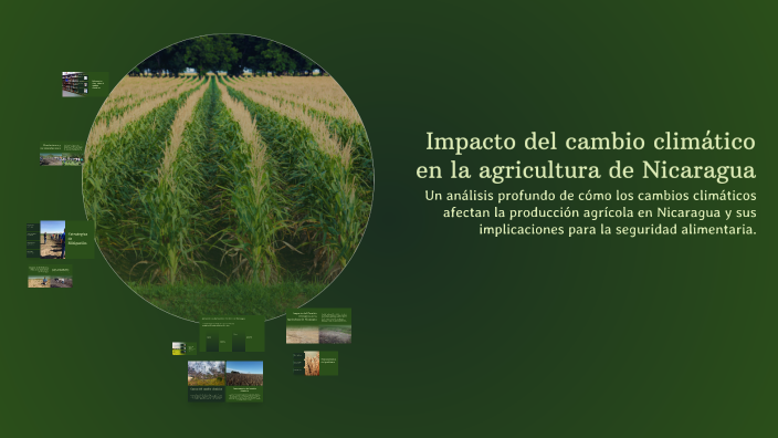 Impacto del cambio climático en la agricultura de Nicaragua by Norman ...