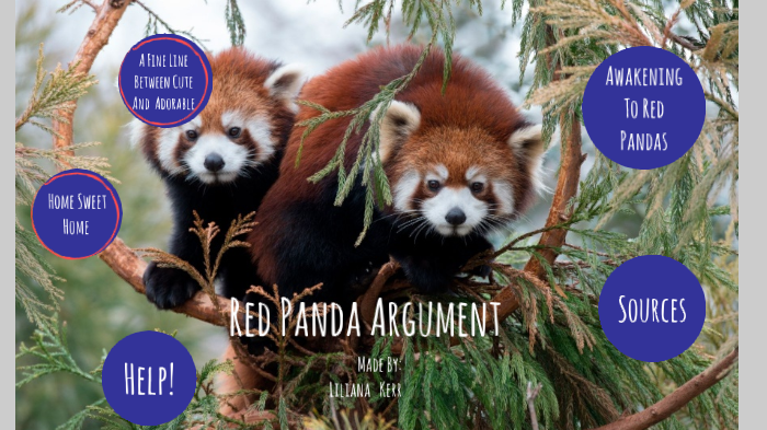 Red Panda Presentation by Liliana Kerr on Prezi