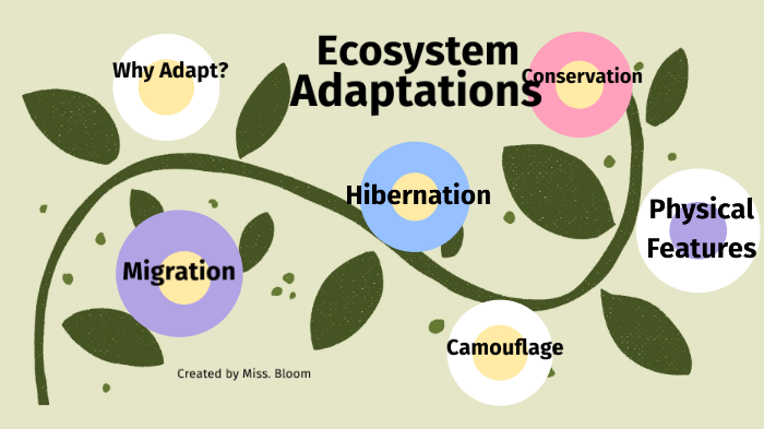 Ecosystems: Adaptions by Katrina Bloom on Prezi
