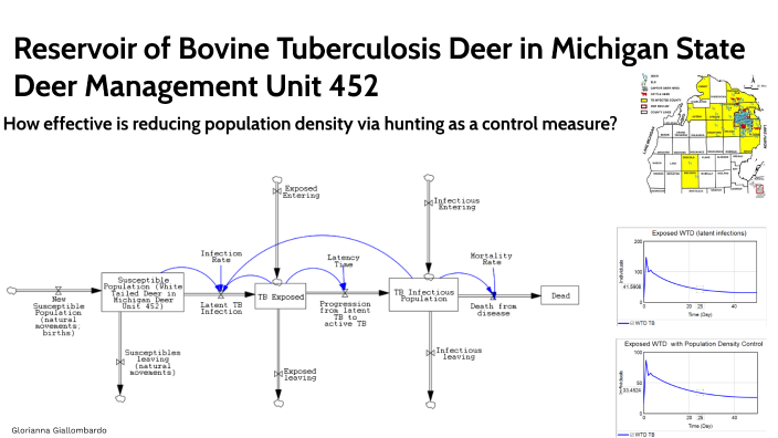Reservoir of Bovine Tuberculosis Deer in Michigan State Deer Management ...