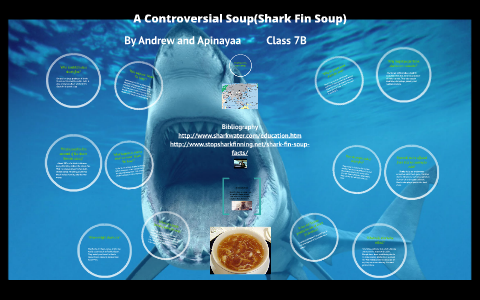 A Controversial Soup(Shark Fin Soup) by Andrew IDK on Prezi