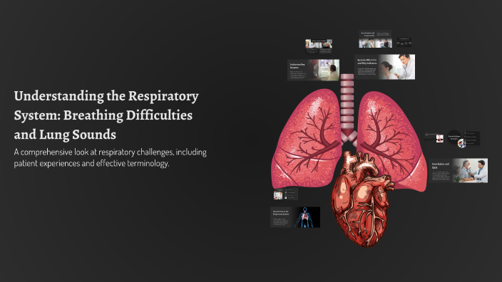 6. Understanding the Respiratory System: Breathing Difficulties and ...