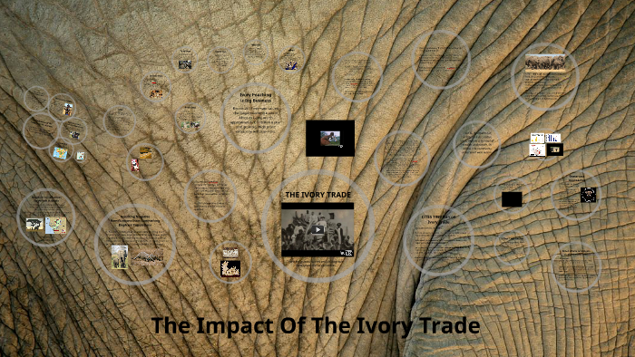 The Ivory Trade by Lydia Suri on Prezi