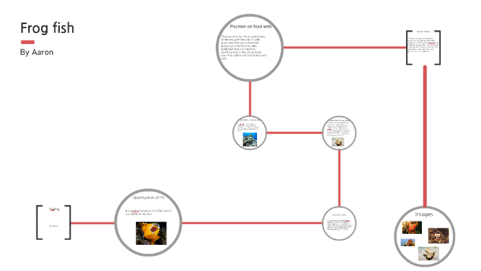Frogfish by Aaron Stallings on Prezi
