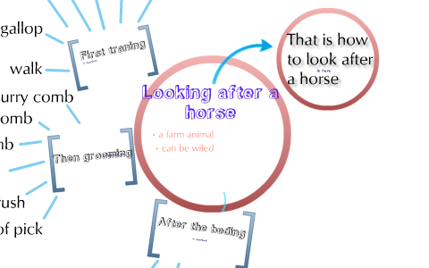 kitty's looking after a horse. by kitty hough on Prezi