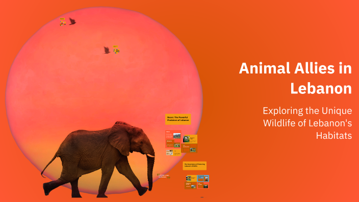 Animal Allies in Lebanon by Walid Zeidan on Prezi