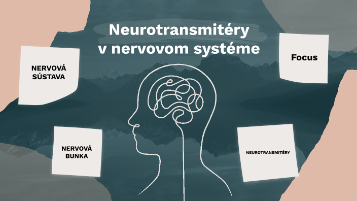 Neurotransmitéry v nervovom systéme by Lucia S on Prezi