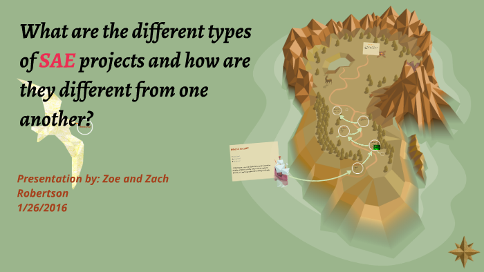 What are the different types of SAE projects and how are the by zoe ...