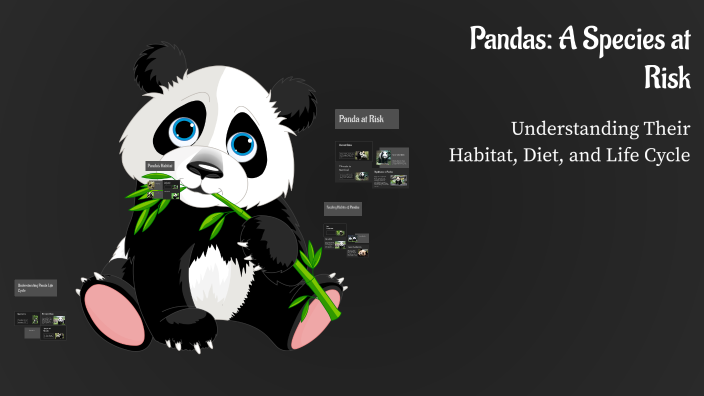 Pandas: A Species at Risk by Prof. Mohamed Abdelraouf on Prezi
