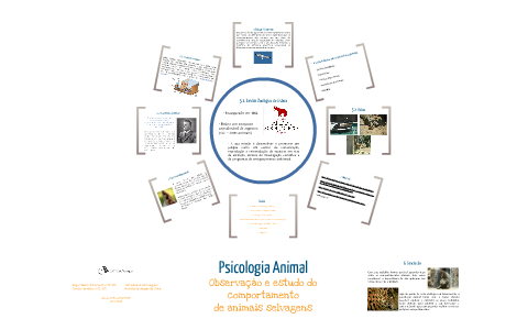 Psicologia Animal by Hugo Bettencourt on Prezi