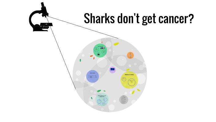 Sharks DO get cancer by Ashley Clark on Prezi