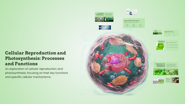 Cellular Reproduction and Photosynthesis: Processes and Functions by ...