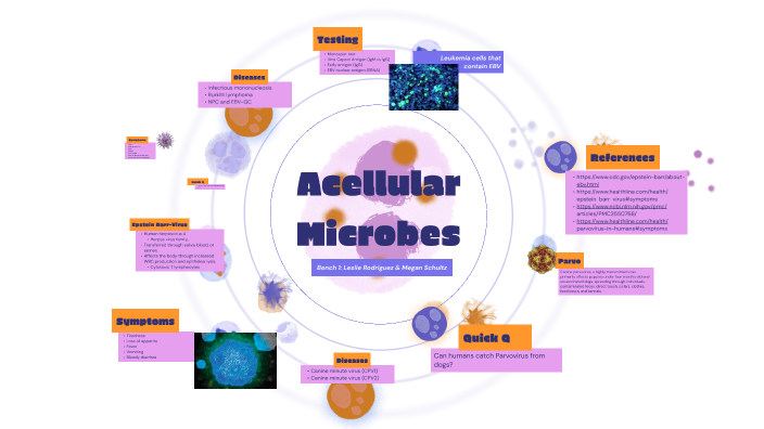 Acellular Microbes Leslie R., Megan S. by Megan Schultz on Prezi