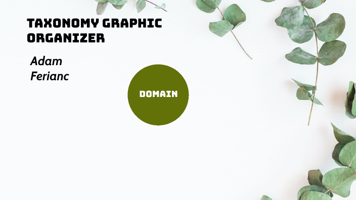 Taxonomy Graphic Organizer by Adam Ferianc on Prezi