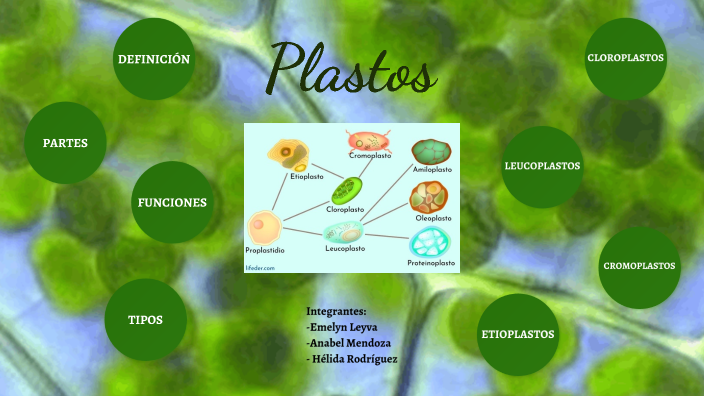 Plastos by Anabel MB on Prezi