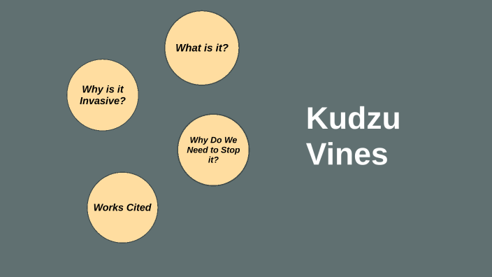 Susan Reimer - Invasive Species by Susan Reimer on Prezi