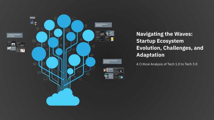 Navigating the Waves: Startup Ecosystem Evolution, Challenges, and ...