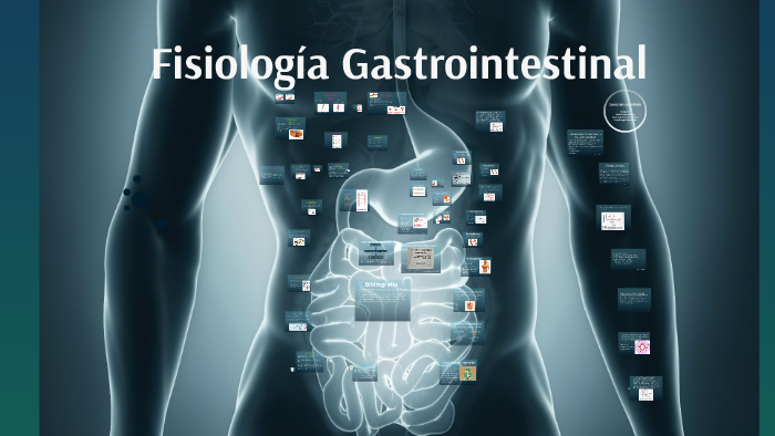 Fisiología Gastrointestinal by Nely Rangel on Prezi
