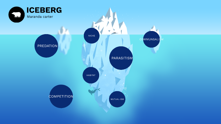 iceberg by maranda carter on Prezi