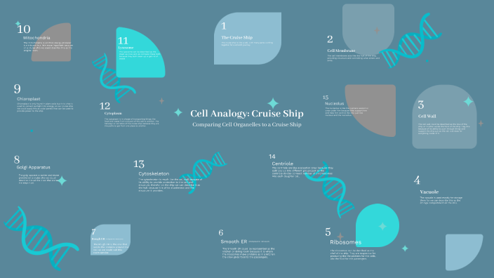 Cell Analogy: Cruise Ship by Steven Chavez-Ruiz on Prezi