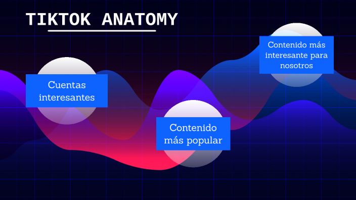 Tiktok Anatomy By Carolina Garcia On Prezi