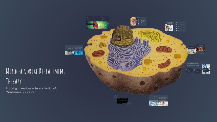 Mitochondrial Replacement Therapy by Uppu Bhargavi on Prezi