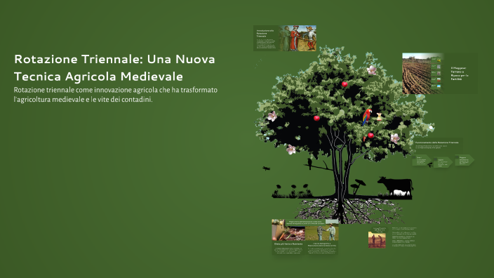 Rotazione Triennale: Una Nuova Tecnica Agricola Medievale by Alessandro ...