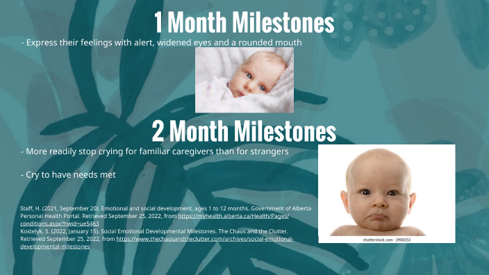 Emotional Development Timeline by Alexa Wimberly on Prezi