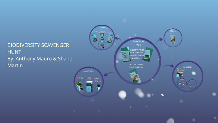BIODIVERSITY SCAVENGER HUNT by Anthony Mauro on Prezi