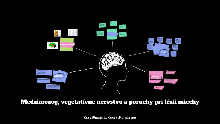 Medzimozog a vegetatívne funkcie, zapojenie vegetatívneho nervstva a ...