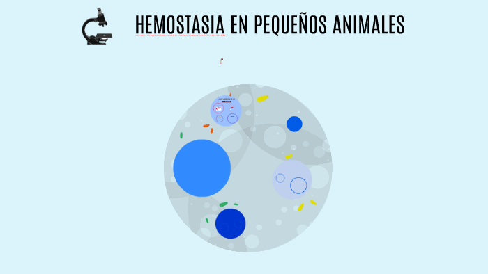 Hemostasia en Pequeños Animales. by Rassman Selector on Prezi