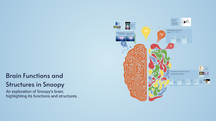 Brain Functions and Structures in Snoopy by Kaylee PalacioGalvan on Prezi