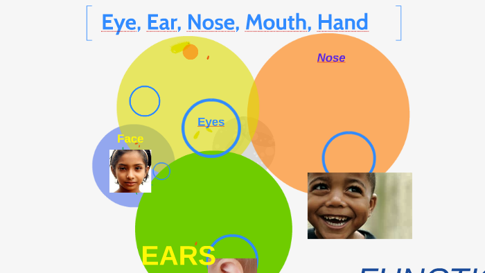 Eye, Ear, Nose, Mouth, Hand by on Prezi