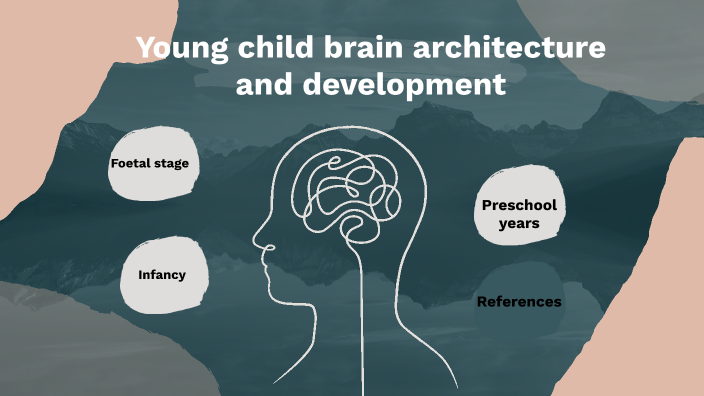 Young child brains architecture and development by Tatiana Arboleda on ...