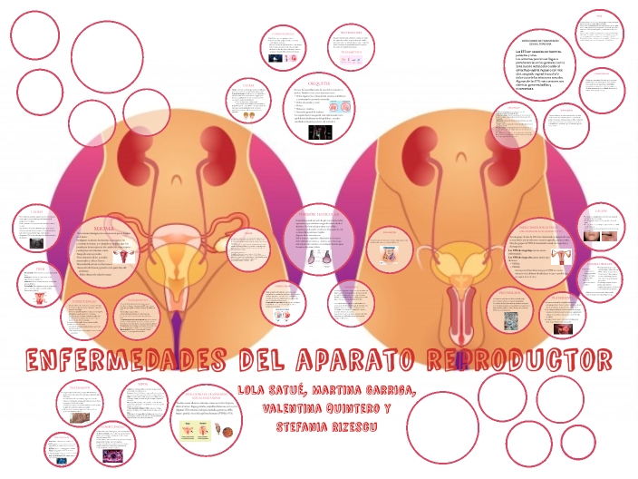 ENFERMEDADES APARATO REPRODUCTOR by stefania rizescu on Prezi