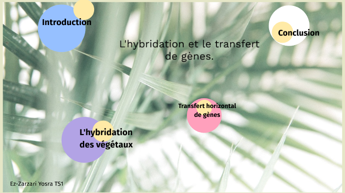 Présentation SVT by Yosra Ez on Prezi