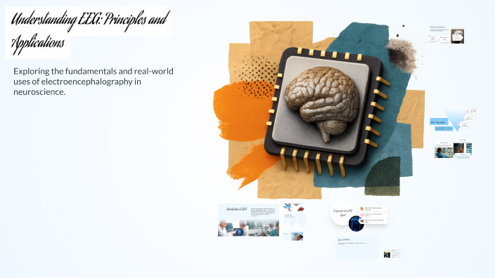 Understanding EEG: Principles and Applications by neda heydari on Prezi