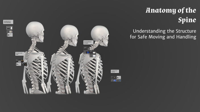 Anatomy of the Spine by Judith Beaumont on Prezi