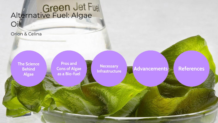 Energy Source: Algea by Celina Osorio on Prezi